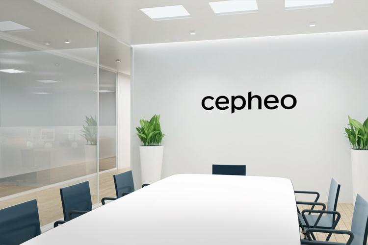Cepheo | Leading Nordic Dynamics 365 partner | ERP & CRM experts
