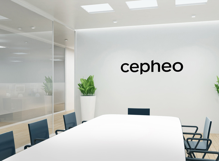 Succeed in a changing world | Cepheo